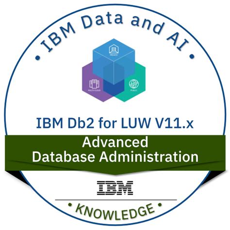 Ibm Data And Ai Learning Product Skills Validation Digital Badge