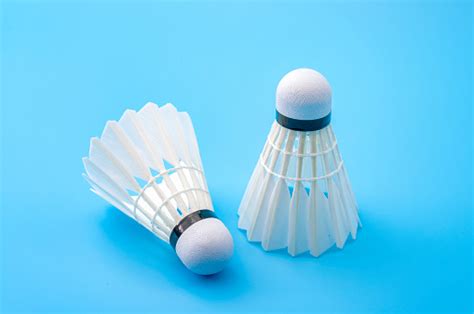 블루 배경에 고립 된 배드민턴 셔틀 콕과 육상 및 팀 스포츠 개념 취미에 대한 스톡 사진 및 기타 이미지 취미 0명 경쟁 Istock