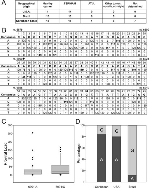 Sequence Polymorphism In The 3 Crs In Proviruses From Htlv 1 Infected