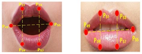 Electronics Free Full Text Driver Emotion And Fatigue State