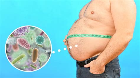 Exploring The Link Between Gut Microbiome And Obesity