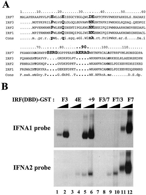 Amino Acids Of Irf 7 Involved In Different Dna Binding Specificities Download Scientific