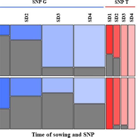 Contingency Analysis Of Plant Height Peduncle Extrusion And Snp At The Download Scientific