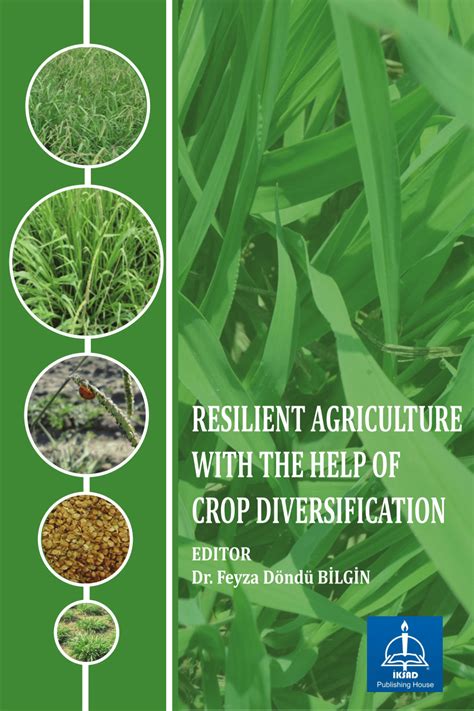 Pdf Avian Systema Nervosum Centrale