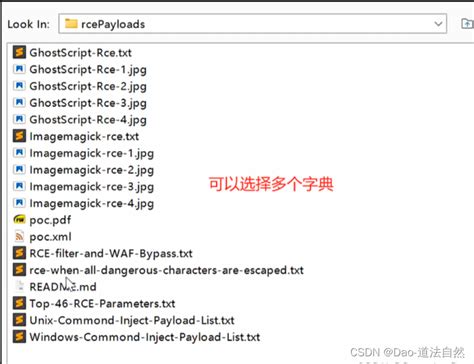 Day76：web攻防 Fuzz模糊测试篇andjs算法口令and隐藏参数and盲payloadand未知文件目录 Csdn博客