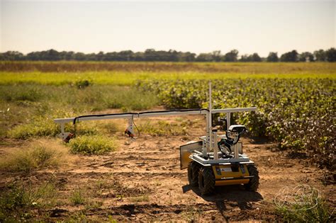 University Of Texas At Arlington Employs Husky Ugv For Automated Plant Phenotyping Clearpath