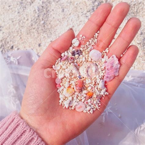 해변 소라 조개 감성 제주도 사진 이미지 일러스트 캘리그라피 Overthemoon작가