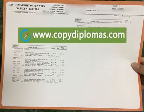 Custom Fake University At Buffalo Transcript Buy Fake Diplomas High School College Degrees