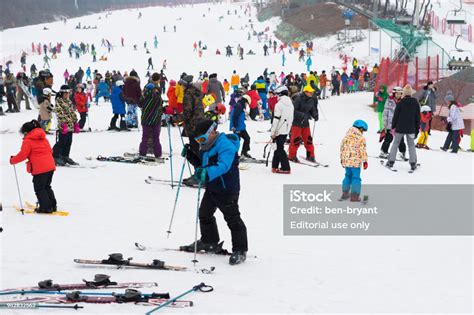 붐비는 관광객 지산 포레스트 스키 리조트에서 활동을 즐길 수 겨울에 대한 스톡 사진 및 기타 이미지 겨울 경관 계절 Istock