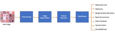 Figure 1 From A Convolutional Neural Network Approach For Skin Lesion