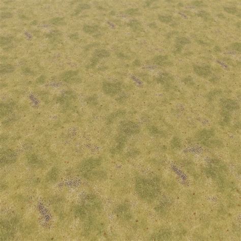 Lush Mossy Grassland Texture 4573 Lotpixel