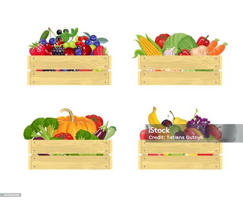 흰색 배경에 고립 된 다른 신선한 야채 열매 및 과일을 가진 나무 상자 세트 만화 플랫 스타일로 농장 유기농 식품의 벡터 일러스트 과일에 대한 스톡 벡터 아트 및 기타