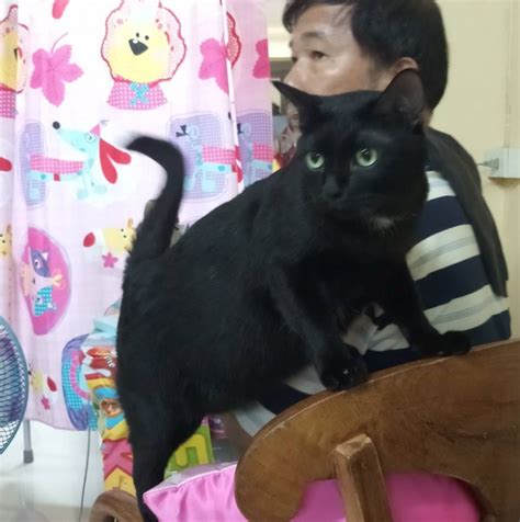 คุยทุกเรื่องกับสนธิ อนุทิน โชว์ตัวว่าที่ 3 รมต คนนอก เอกนิติ อรรถพล สีหศักดิ์ อนุทิน