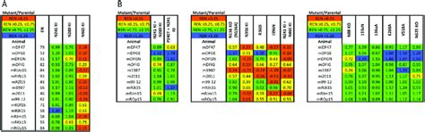 Epitope Mapping Of Autologous Nab Responses In Bg505 Trimer Immunized Download Scientific