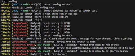 git reset 후 사라진 커밋 복구