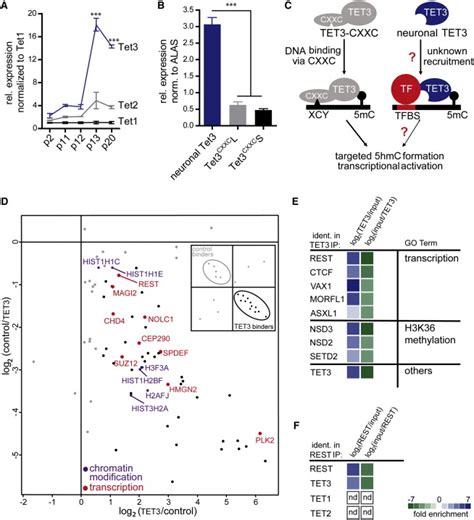 Tet Expression Levels And Identification Of Tet3 Interacting Proteins
