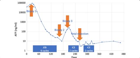 Trend Of AFP Level And Treatment Timeline Day Was The Patient S Download Scientific Diagram