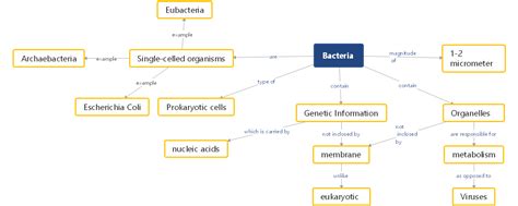 How To Make A Concept Map On Word Free 7 Detailed Steps