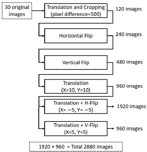 Data Augmentation Scheme Used In The Proposed Technique H Flip And Download Scientific Diagram