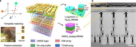 Selina La Barbera On Linkedin Monolithic Three Dimensional Integration Of Rram Based Hybrid Memory…