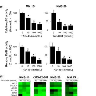 Inactivation of the nuclear factor κB NFκB pathways via inhibition Download Scientific