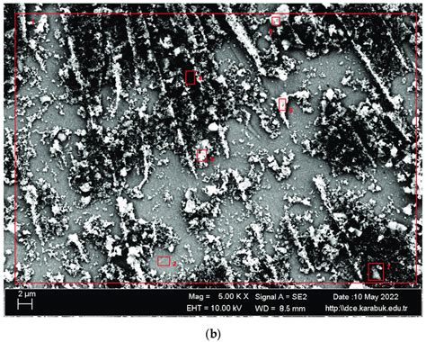 A Microstructure Sem Images And B Eds Analysis Of Shape Memory