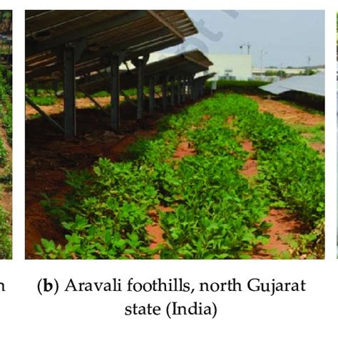 Pdf Agrivoltaic Systems Design And Assessment A Critical Review And A Descriptive Model
