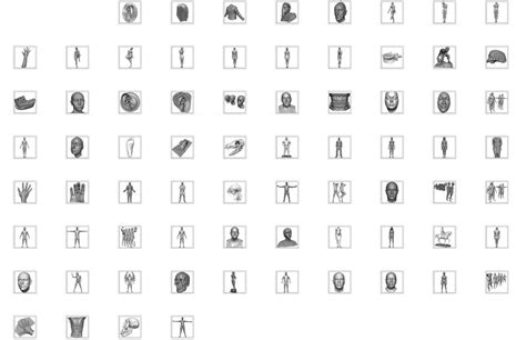 Human Proportions Nudity Works In Progress Blender Artists Community