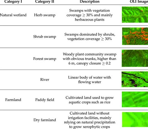 Land Use And Land Cover Classification System Download Scientific