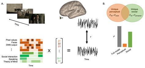 A Encoding Model Overview We Labeled Perceptual And Social Affective
