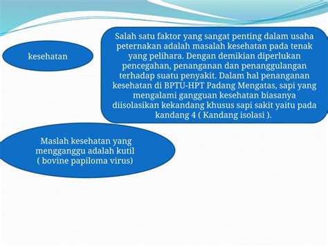 Manajemenpemeliharaansapipotongdibppptx Manajemenpemeliharaansapipotongdibppptx