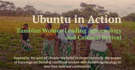 Global Forest Coalition Photo Essay Ubuntu In Action Zambian Women Leading Agroecology And