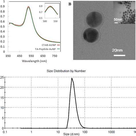 A Uvvis Plasmonic Spectra Of Ctab Aunps Compared With Ta Peptide Download Scientific Diagram
