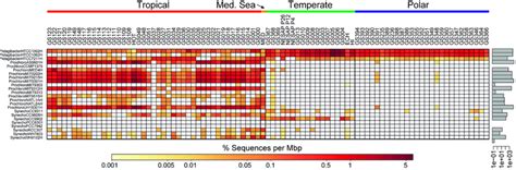 Figure S10 Metagenome Fragment Recruitment Of 24 Psp Download