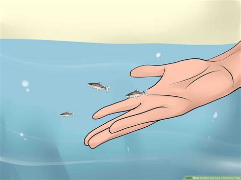 Catching Minnows In A Trap