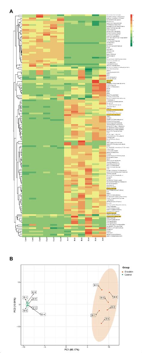 Differential Flavonoid Metabolite Analysis On The Basis Of Clustering