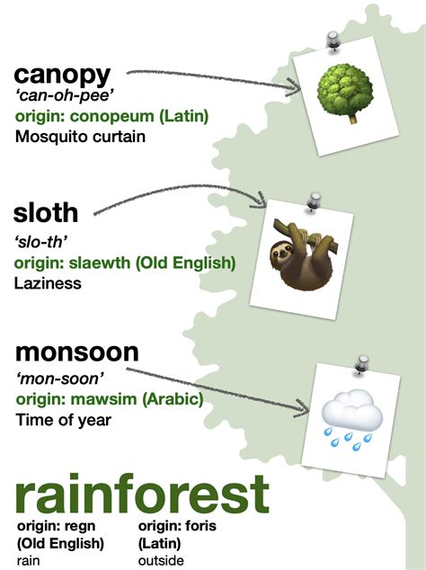 Word Roots Maximum Classics