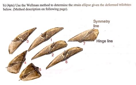 Solved Kindly Answer Both Of The Following Parts Of This