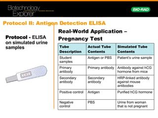 Official Elisa Powerpoint PPT
