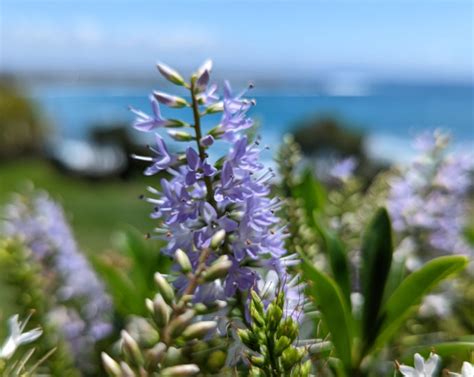 Actuarial Eye An Actuarial Eye On The World