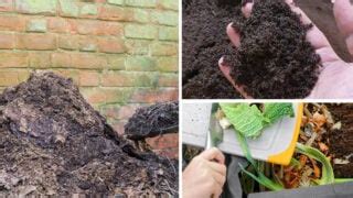 All The Different Soil Types Explained Patient Gardener