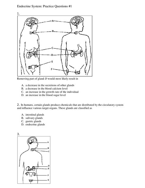 Endocrine System Practice Questions 1 Lecture Notes Endocrinology Docsity