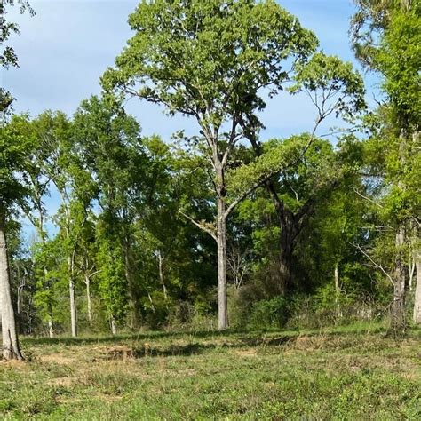 Deer Crest Court Mobile Al 36695 Mls 7162370 Landwatch