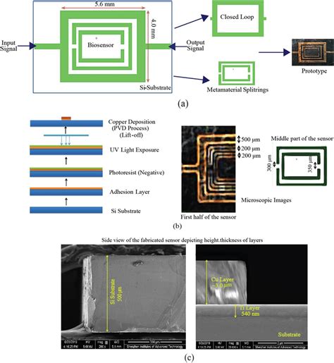 Biosensor A Schematic Of Proposed Sensor Design B Fabrication