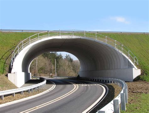 Asset Bebo Green Bridge Asset International Structures Ltd