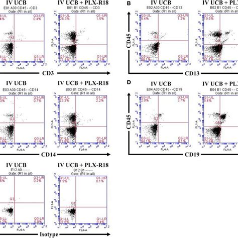 Representative Flow Cytometry Plot Of Peripheral Blood At 8 Weeks