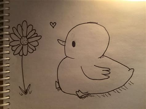 Kawaii Duck Drawing Ducklings Daisy Discovery Easy Doodles Drawings
