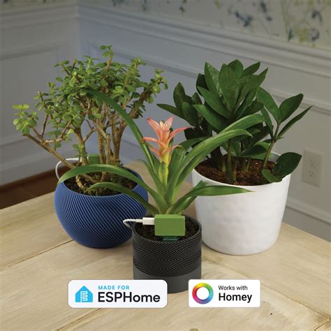 Apollo Automation Air 1 Air Quality Sensor Comprehensive Review By Sm