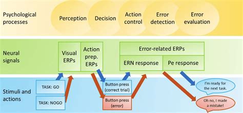 Visual Representation Of The Research Design Download Scientific Diagram