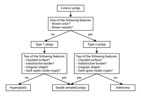 Wasp Classification Adapted From Ijspeert Et Al 15 Download